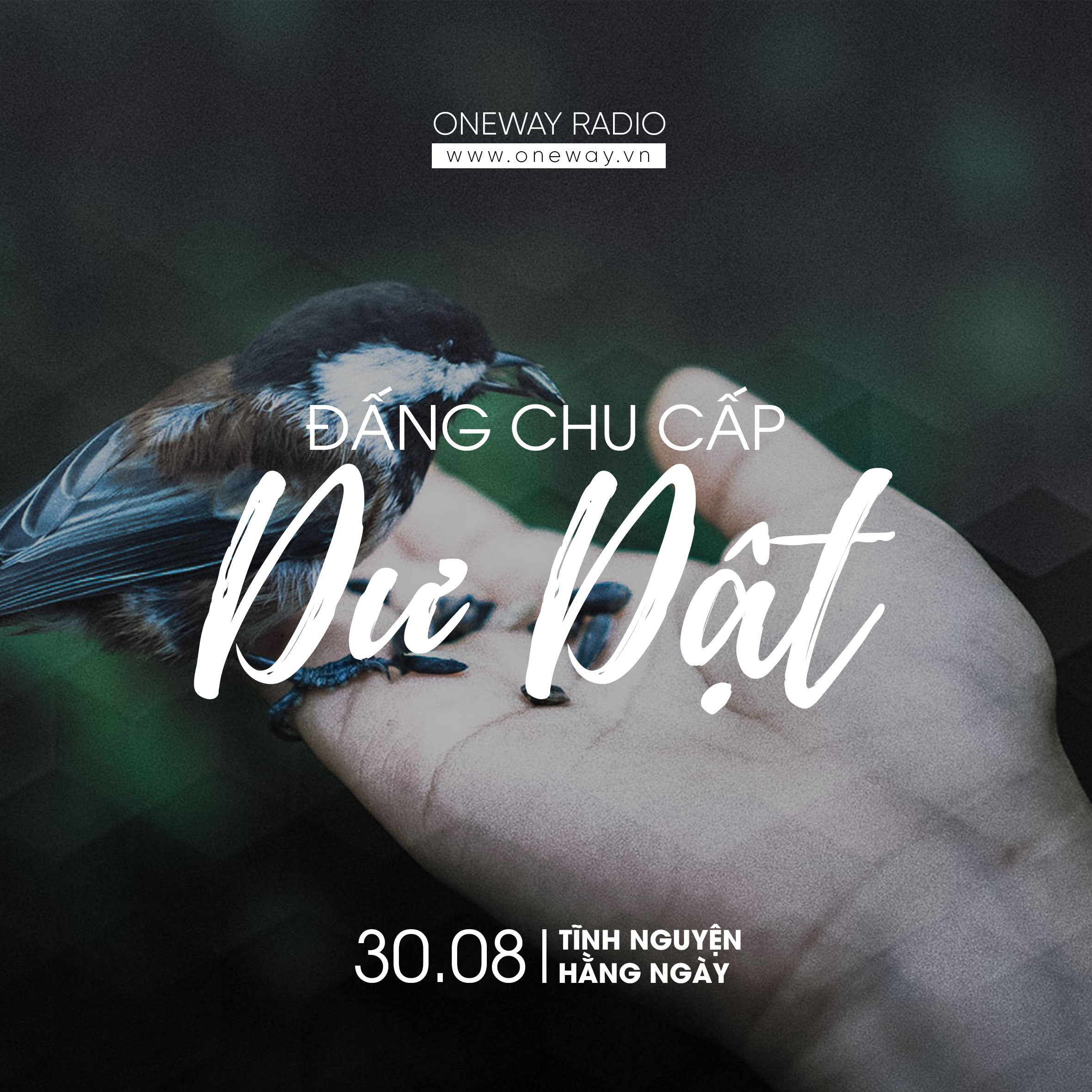 Tĩnh Nguyện Hằng Ngày 30/8: Đấng Chu Cấp Dư Dật